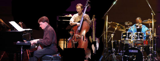 SPLASH SPLASH RECORDS所属アーティスト